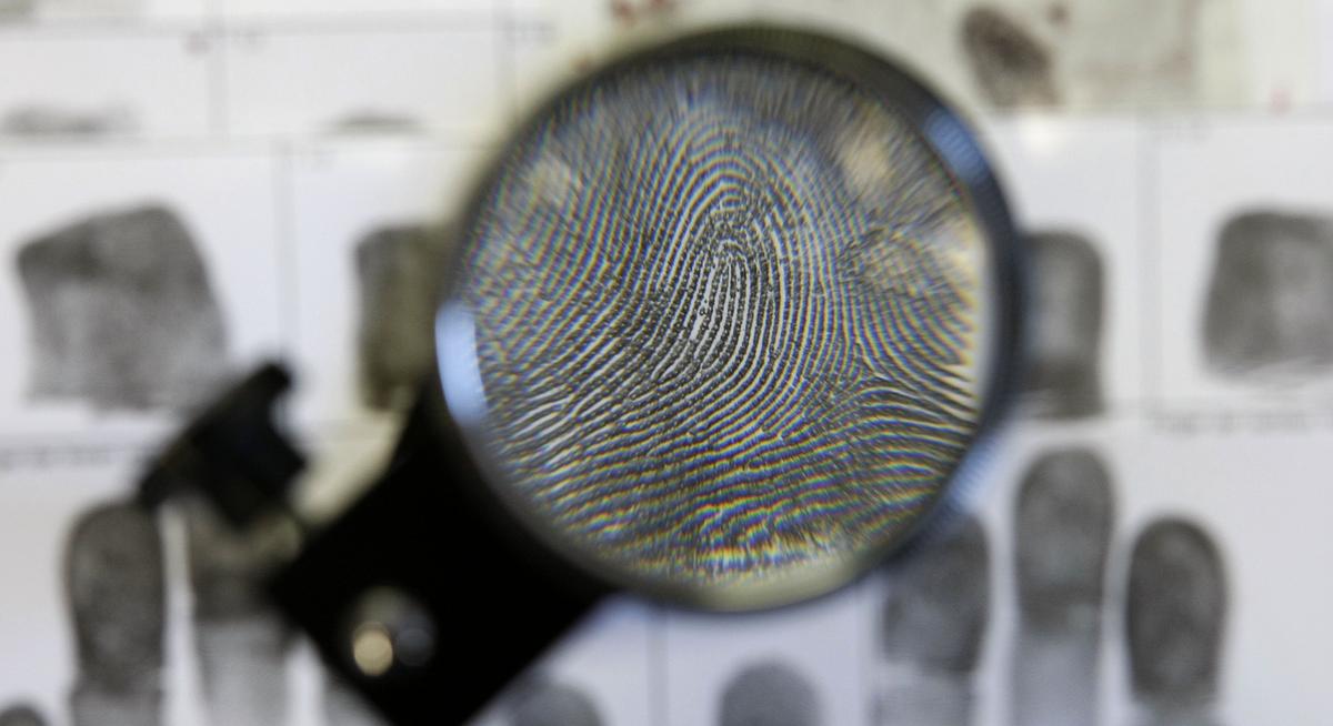 46 инструментов судебной экспертизы информационной безопасности ...